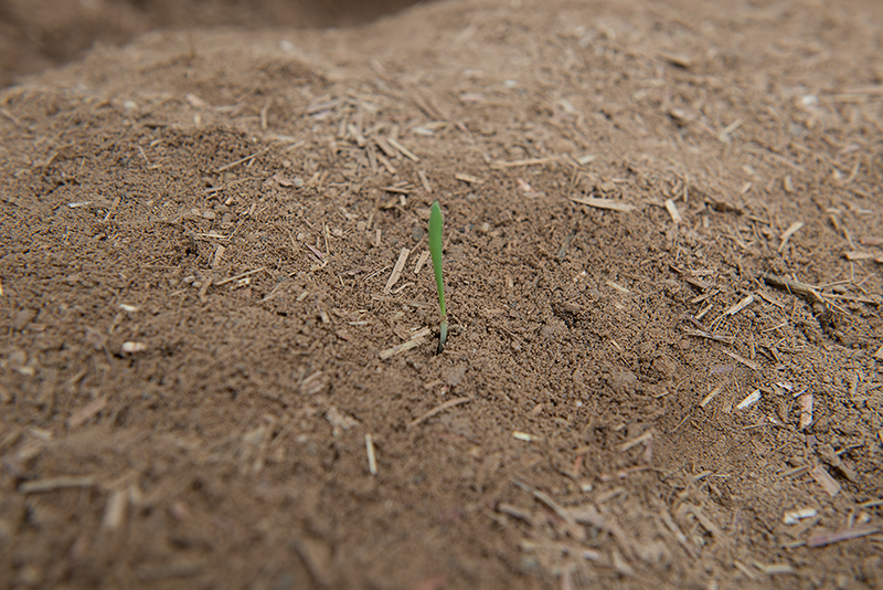 Natura Lehmbau Christian Aigner